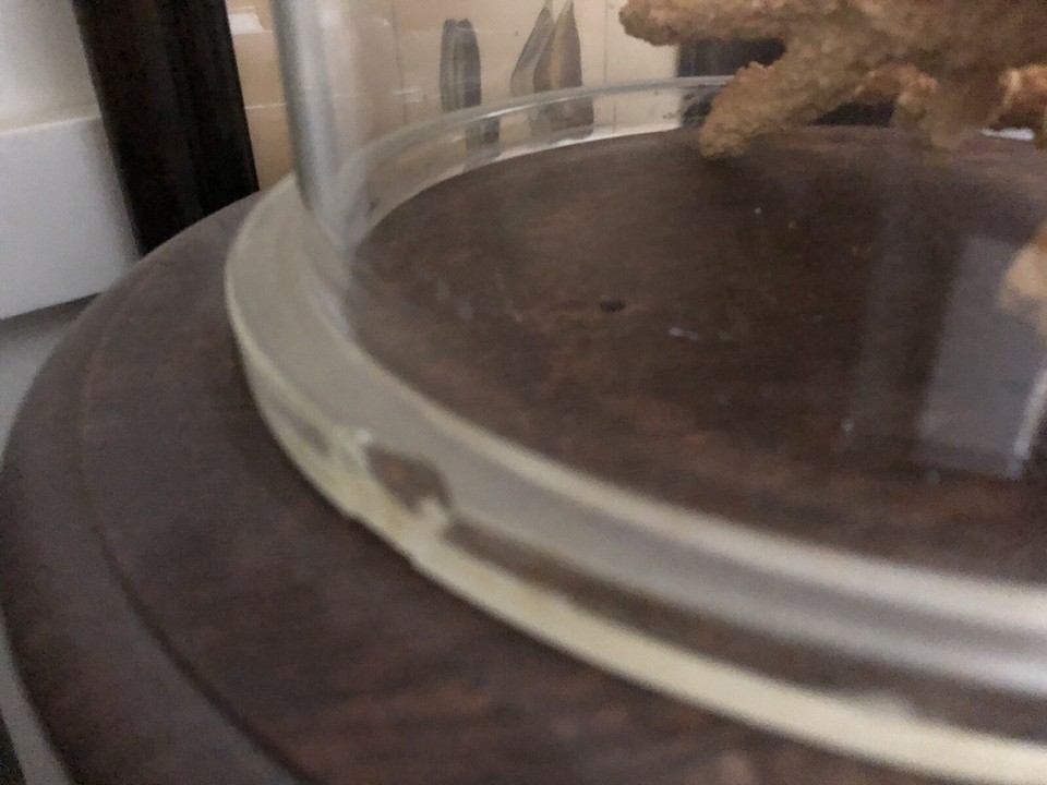 Vintage Rare Tall 17 Inch Pyrex Glass Bell Jar Apothecary Dome Cloche ...