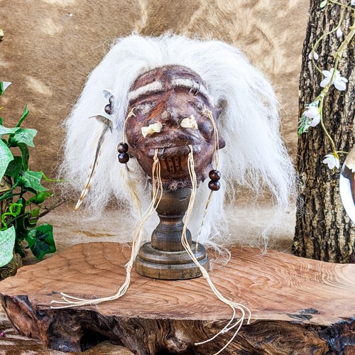 Shrunken Head reproduction Tsantsa by Local Tribesmen Oddities ...