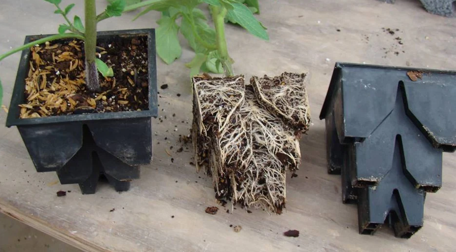 RootMaker Propagation Trays For a Garden - choose your quantity | eBay