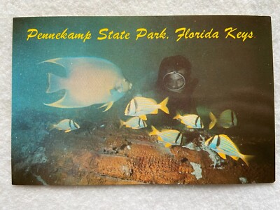 Pennekamp State Park, Key Largo, Florida Keys Florida Vintage Postcard ...