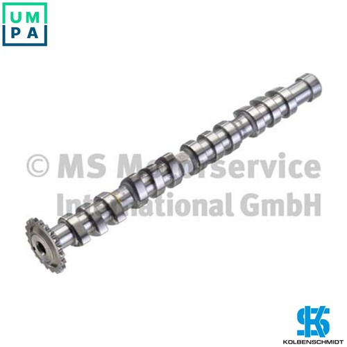 CAMSHAFT 50007581 FOR AWT/AUQ/AWP/AWU/AWV/AUM/BAM/AWM/BJX/BBU/BKF/BNU 1 ...