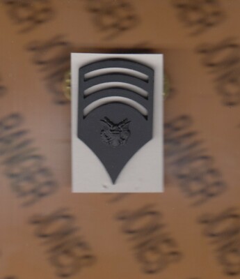 USA Enlisted Specialist Seventh Class SPEC 7 E-7 rank duty badge single ...