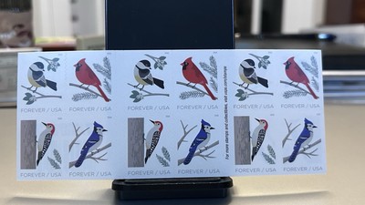 Book of 20 USPS Forever Stamps BIRDS IN WINTER 2017 Series FV $15.60 ...
