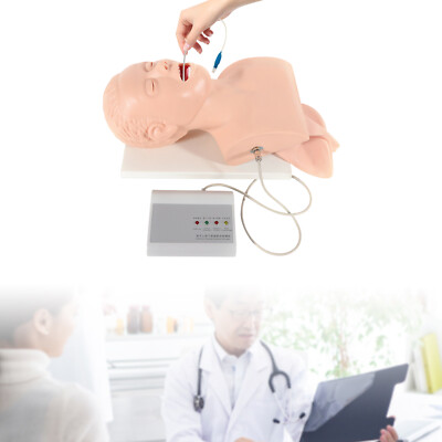 Training & Manikins - Airway Management