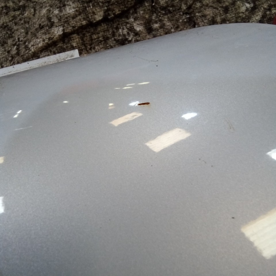 BMW Mini R56/R57/R58/R59 2006-15 Driver/Right/OS Front Door Panel A62/0 ...