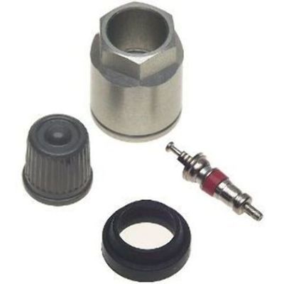 TIRE PRESSURE SENSOR TPMS TPS SERVICE PACK KIT w/ NUT 20002 | eBay