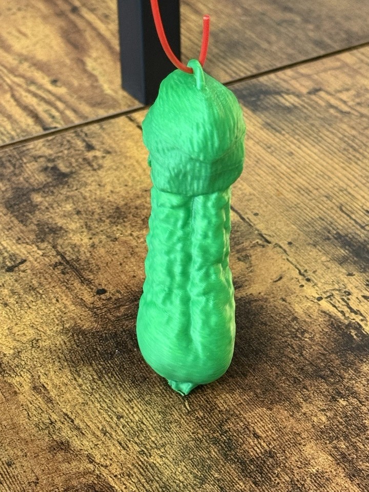 Picolas Cage Christmas Ornament (Pickolas, Picholas, Pickle Nick) Meme Funny | eBay