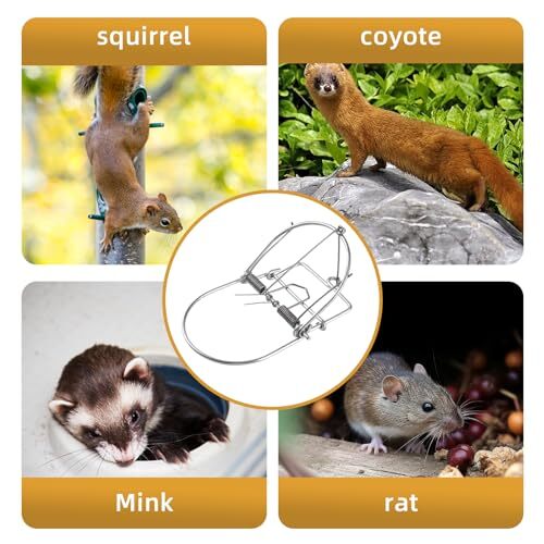 2 Pack of Small Live Animal Hunting Trap,Outdoor Hunting Tools Humane ...