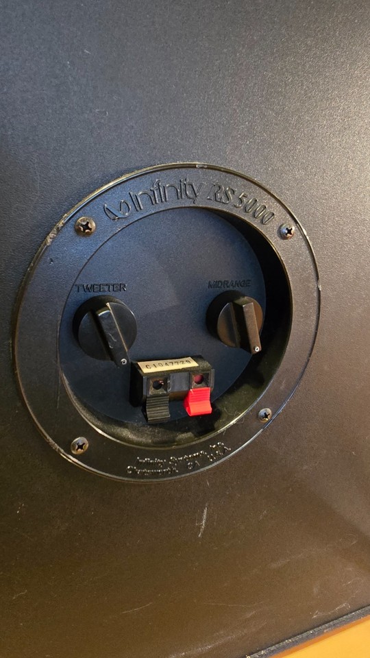 One Pair of Infinity RS-5000 Speaker - Great condition | eBay