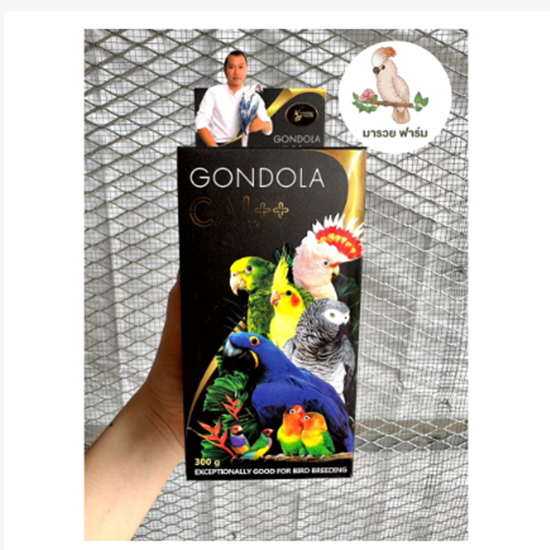 GONDOLA CAL++ Calcium Supplement for Birds All species of hook-beaked ...