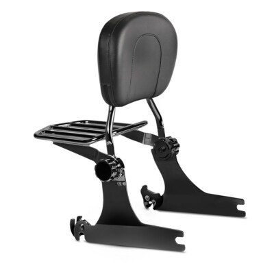 Sissy Bar with Rear Rack for Harley Sportster Forty-Eight 48 Special 18 ...