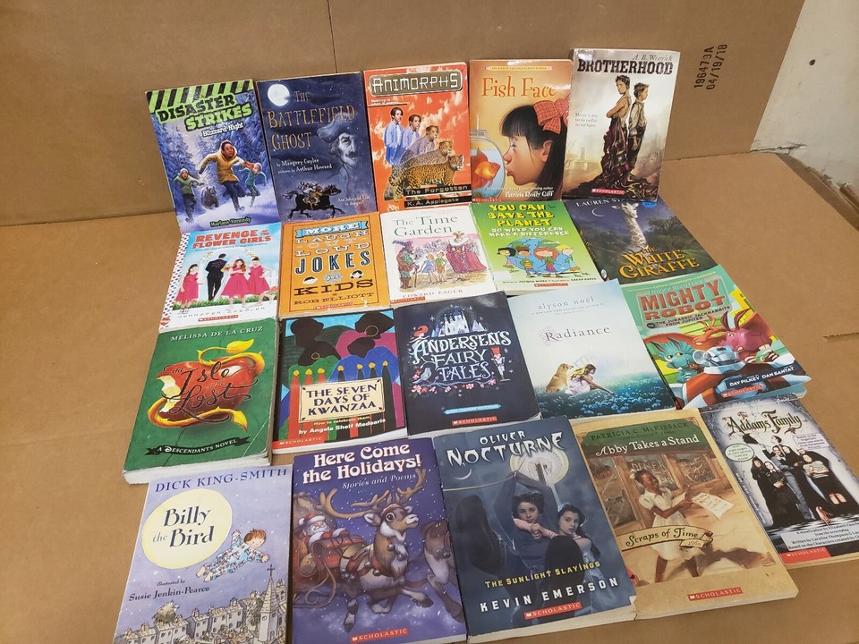 Lot of 20 Chapter ALL SCHOLASTIC Children Young YOUTH RANDOM UNSORTED ...