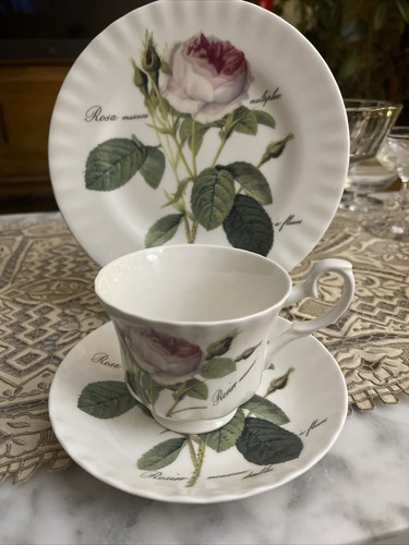 Roy Kirkham Tea Cup Saucer and Plate Set Redoute Roses Fine Bone China ...
