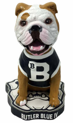 Butler Blue IV Butler Bulldogs Adult Mascot Bobblehead NCAA Dog | eBay
