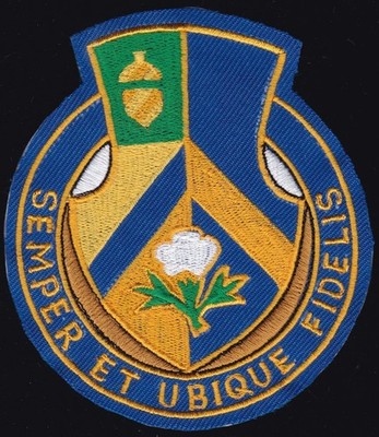 346th Infantry Regiment Patch N-12 | eBay