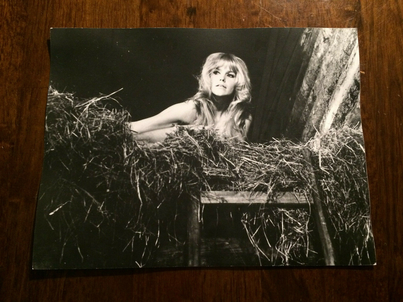 The Sweet Sins of Sexy Susan (1967) Movie Photo Pascale Petit | eBay