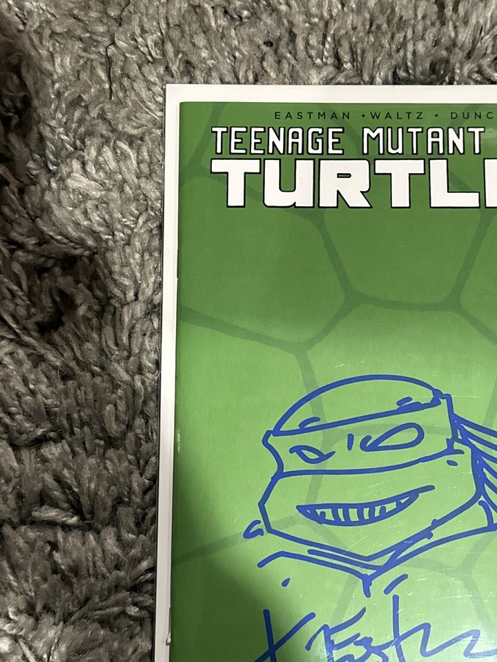 Ninja Turtle Shell Drawing