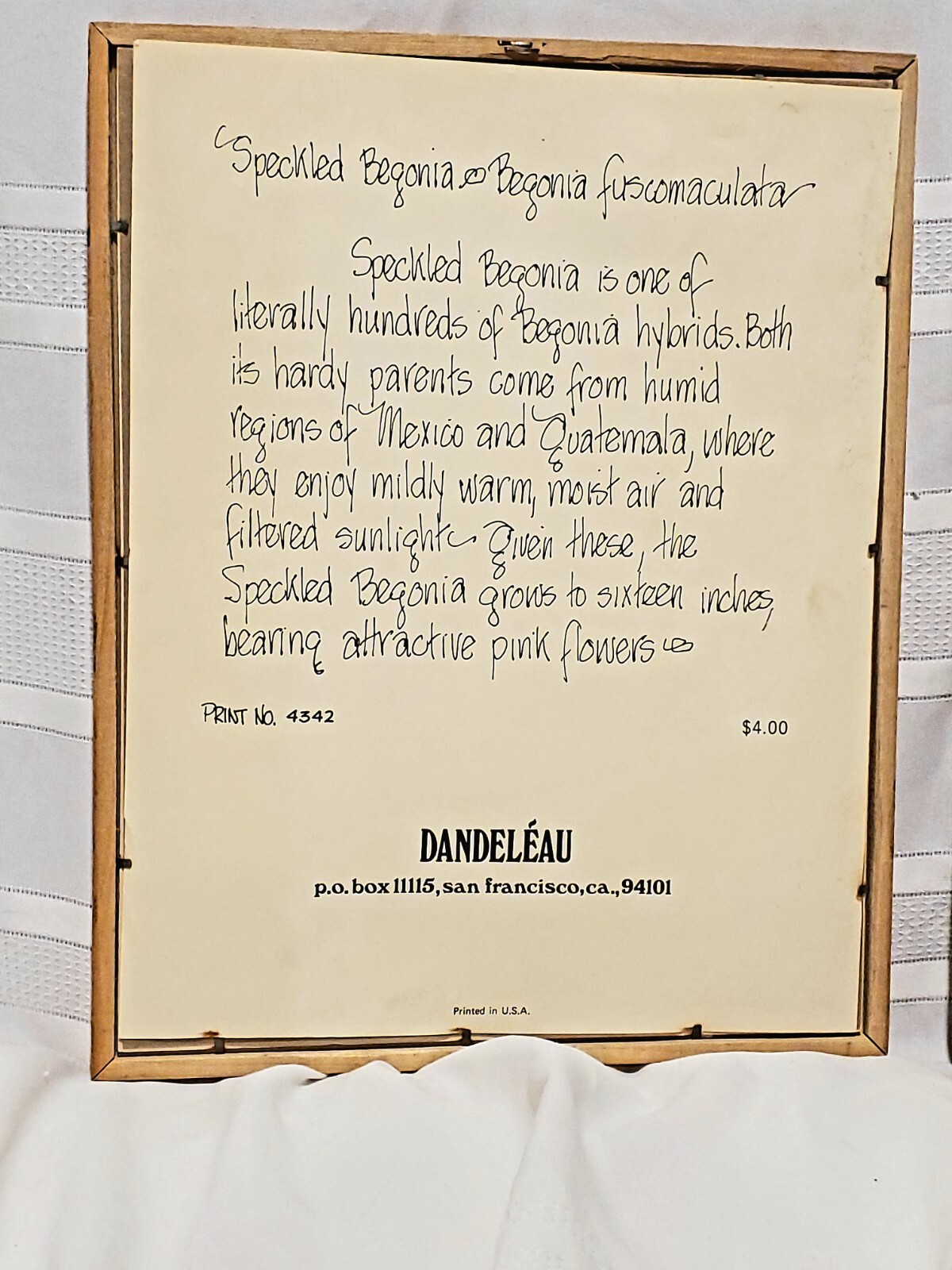 Vintage Wendy Wheeler Prints Set Of 3 Botanical Plants 1974 Framed 14.5 ...