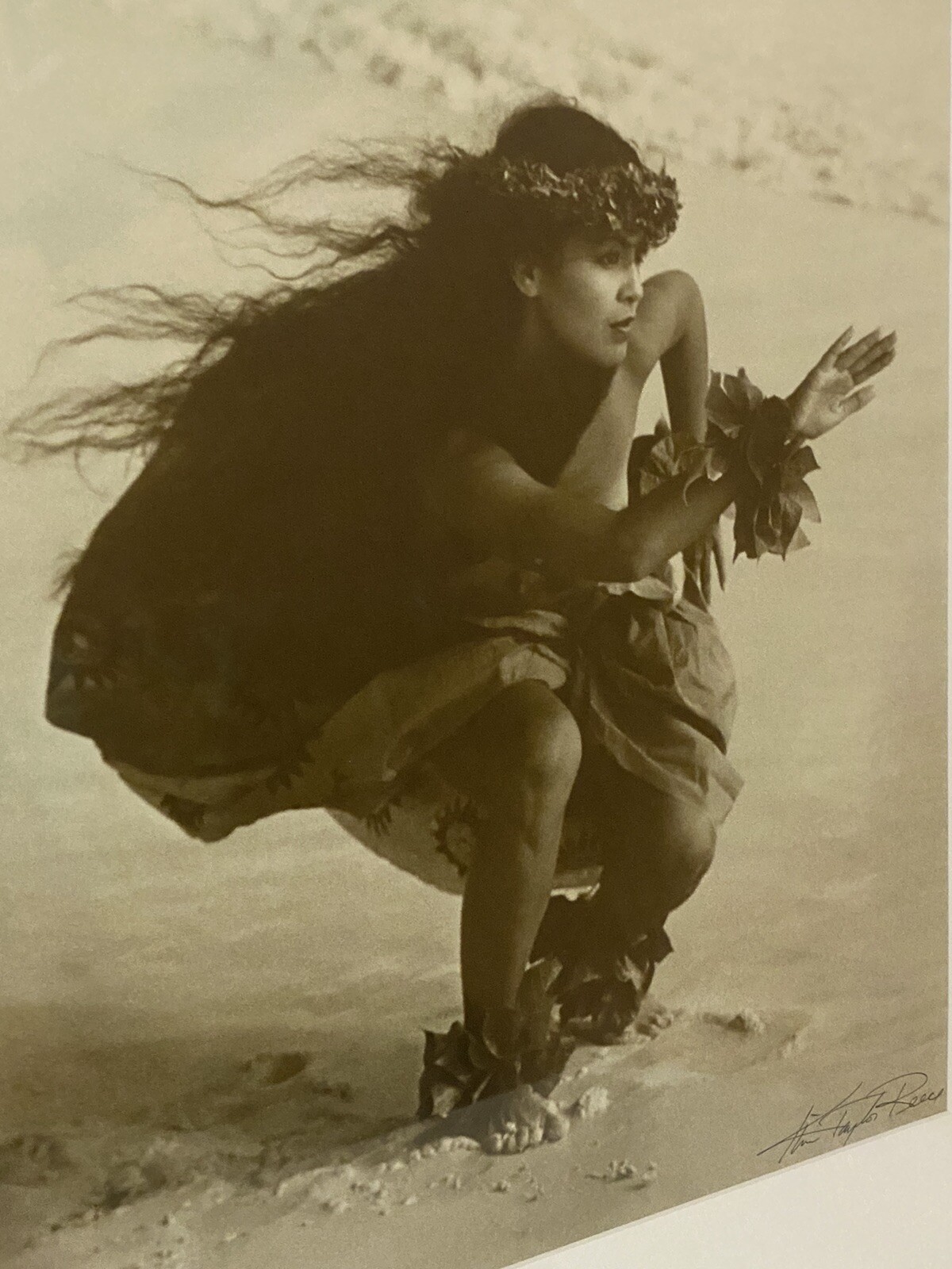 Kim Taylor Reece Signed Photographic Print “Hula Kahiko” Hawaii | eBay