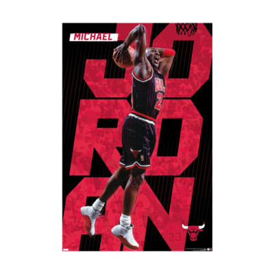 MICHAEL JORDAN - PINSTRIPE POSTER - 22x34 - 21929 | eBay