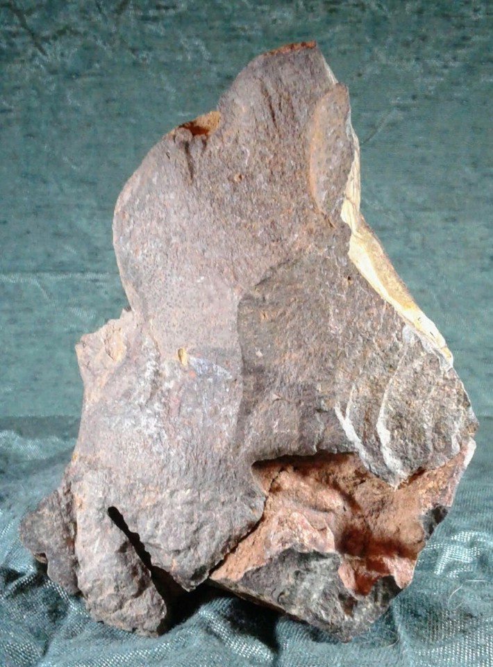 PREHISTORIC STONE MULTI-TOOL, BIRDSTONE, EFFIGY, PORTABLE ROCK ART ...