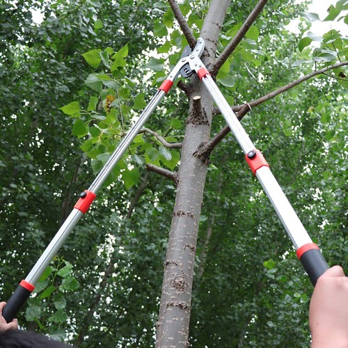 Extendable Telescopic Tree Pruner Garden Branch Cutter Lopper Heavy ...