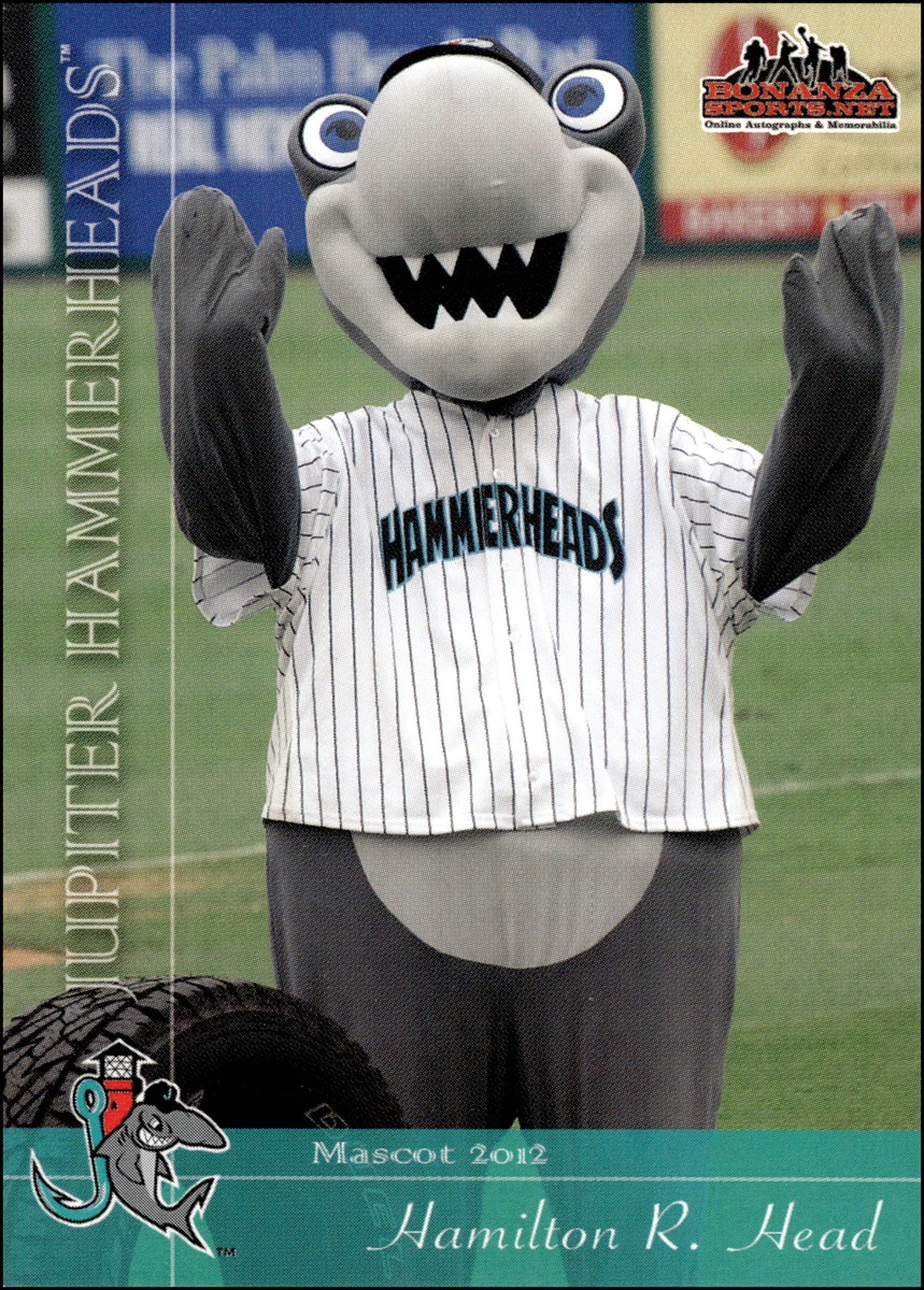 Jupiter Hammerheads Logo
