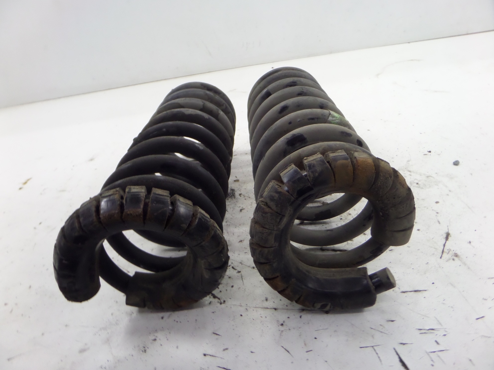 Ford Mustang GT Coil Spring SN95 4th Gen MK4 99 OEM | eBay