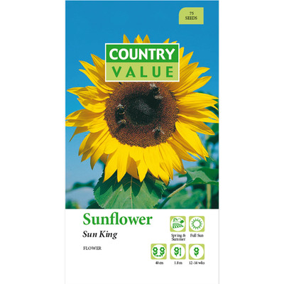 Country Value Sun King Sunflower 75 Seeds Flower Garden Bright Colour ...