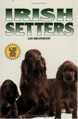 Irish Setters (Akc Rank, No57) By Luz Holvenstot 9780793823666| eBay