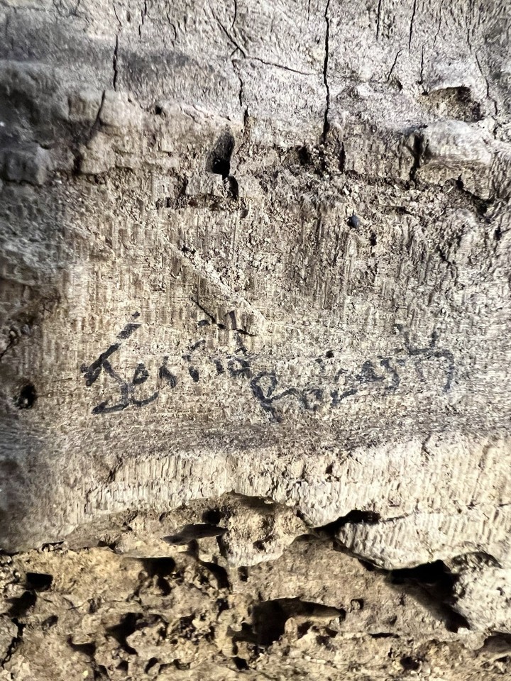 Anthill Art Casting Sculpture Fire Ant Aluminum Casting On Wooden Base ...