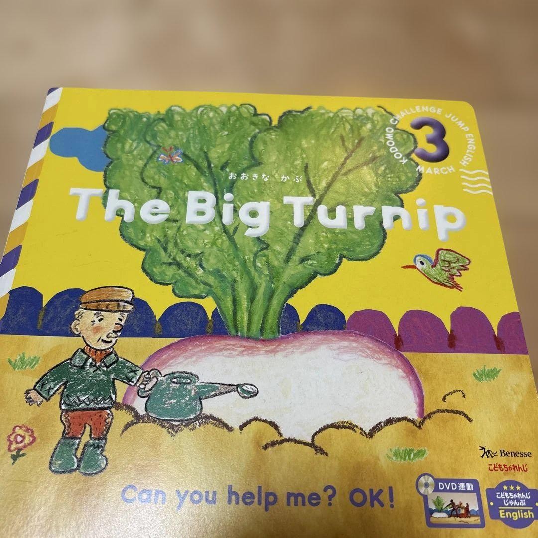 Children's English Picture Book Set 5 Books, Bilingual, No DVD, Used | eBay