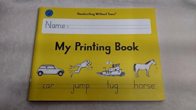 My Printing Book by Jan Z. Olsen and Emily Knapton (2008, Trade ...