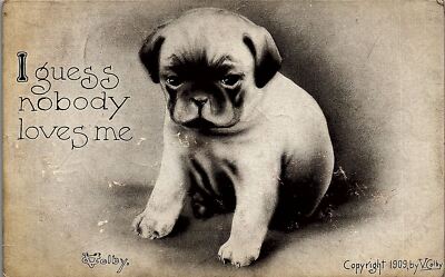 Nobody Loves Me Puppy