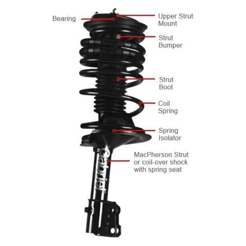 For Honda Element 03-11 Strut Assembly Ultra ReadyMount Front Driver ...
