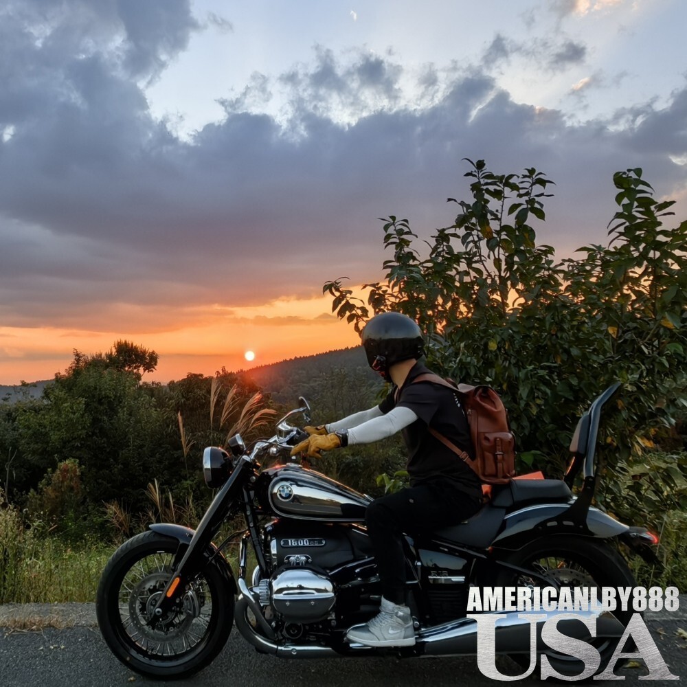 2020-2022 BMW R18B Dreammaker 1.5" Passenger Sissy Bar Backrest For ...