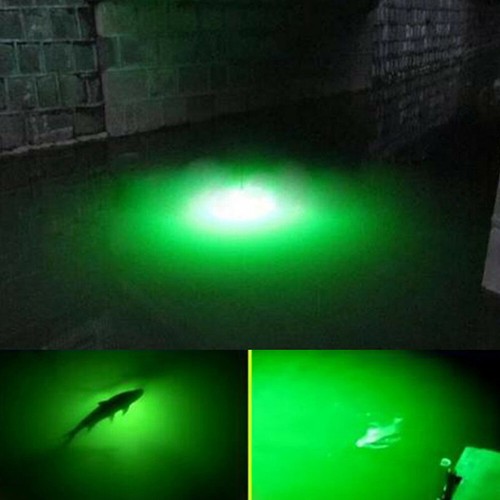 Night Lures LED Underwater Attract Squid Fishing Light Double ...
