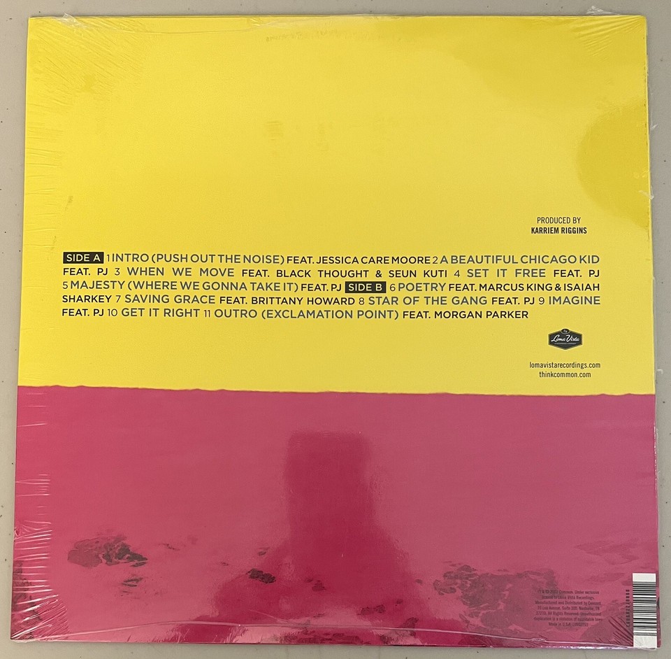 Common A Beautiful Revolution Pt. 2 (Record, 2021) Vinyl colored vinyl ...