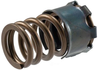 Engine Valve Spring-Stock Melling VS-2209 | eBay