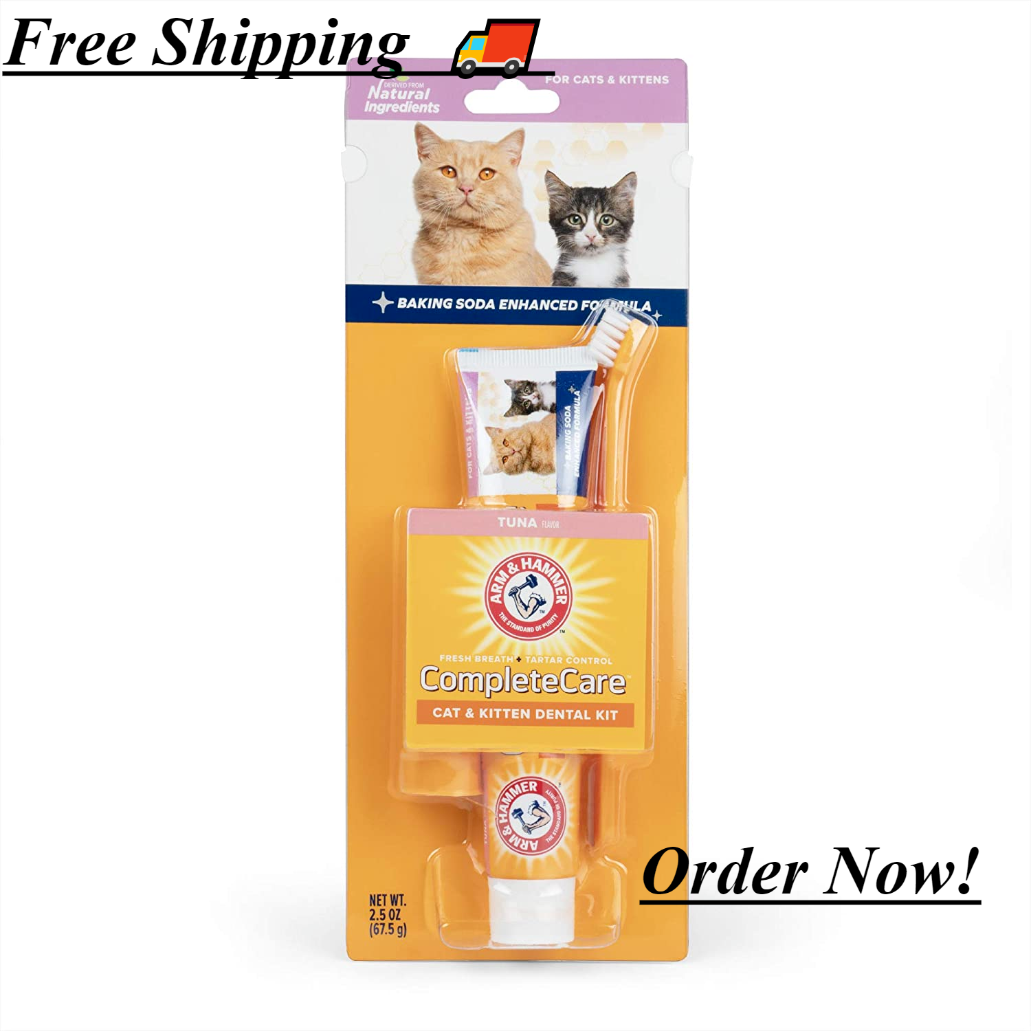 Oral Dental Care for Cat / Kitten Dental Kit Toothbrush Toothpaste ...