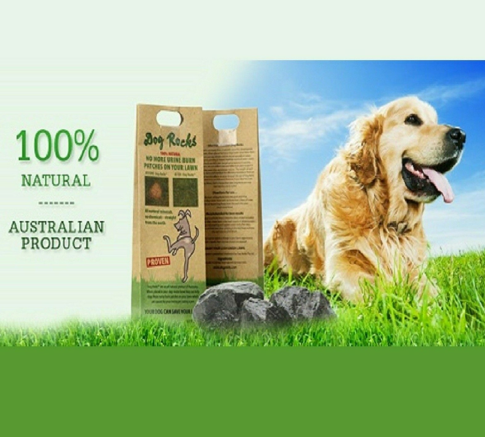 DOG ROCKS - (100g - 600g) - Water Bowls Igneous Rock Urine Grass Burn ...