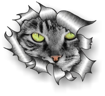 CLASSIC Ripped Open Torn Metal Cute Grey Tabby Cat Kitten face vinyl ...