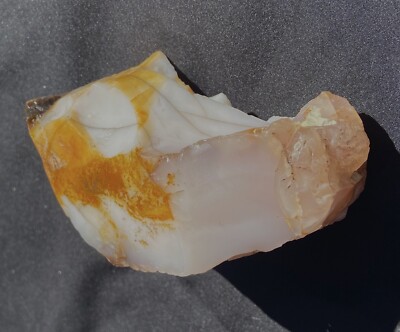 Limb Cast Glowing Very Large Opal Specimen With Bark 400 Grams - 14 ...