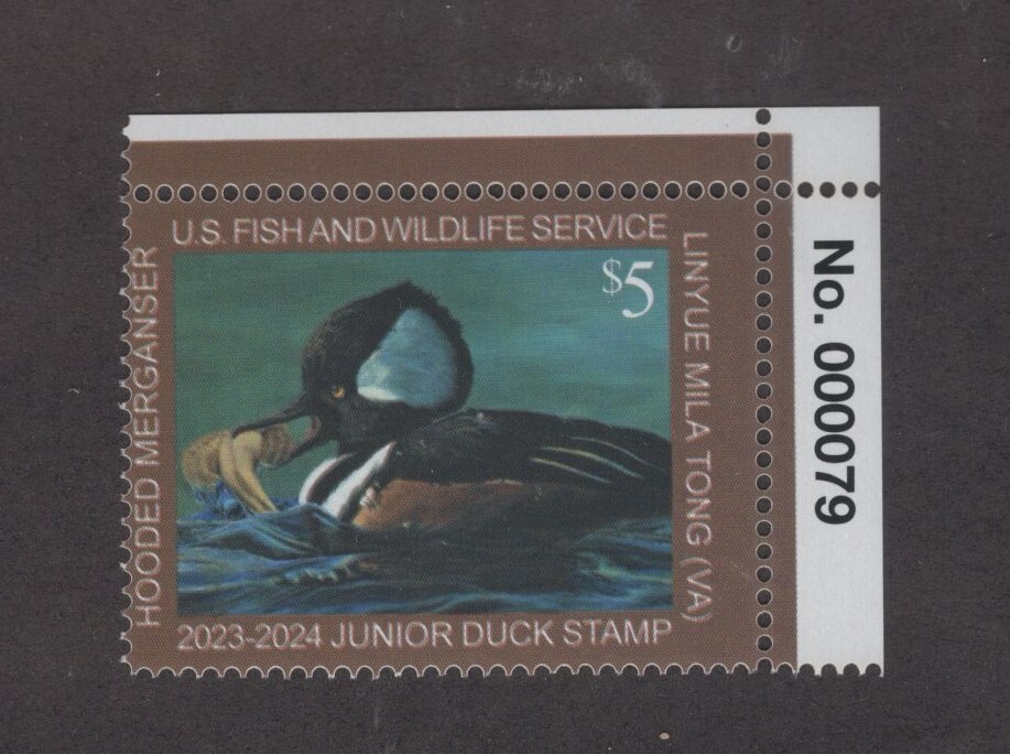 JDS31 - Junior Federal Duck Stamp. Plate Number Single. MNH. OG. #02 ...