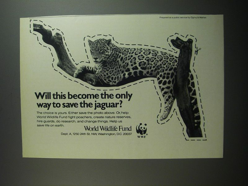 World Wildlife Fund Posters World Wildlife Day 2023 (and 50th