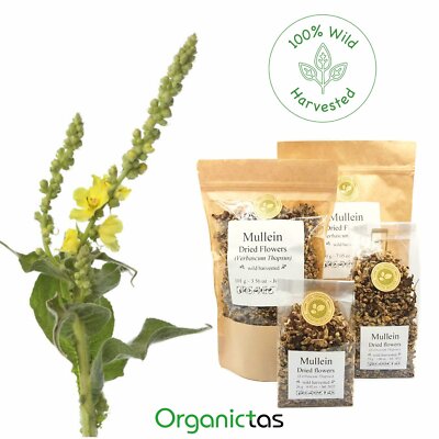 Mullein dried Flower Herbal Tea Organic Wild Harvested Verbascum ...