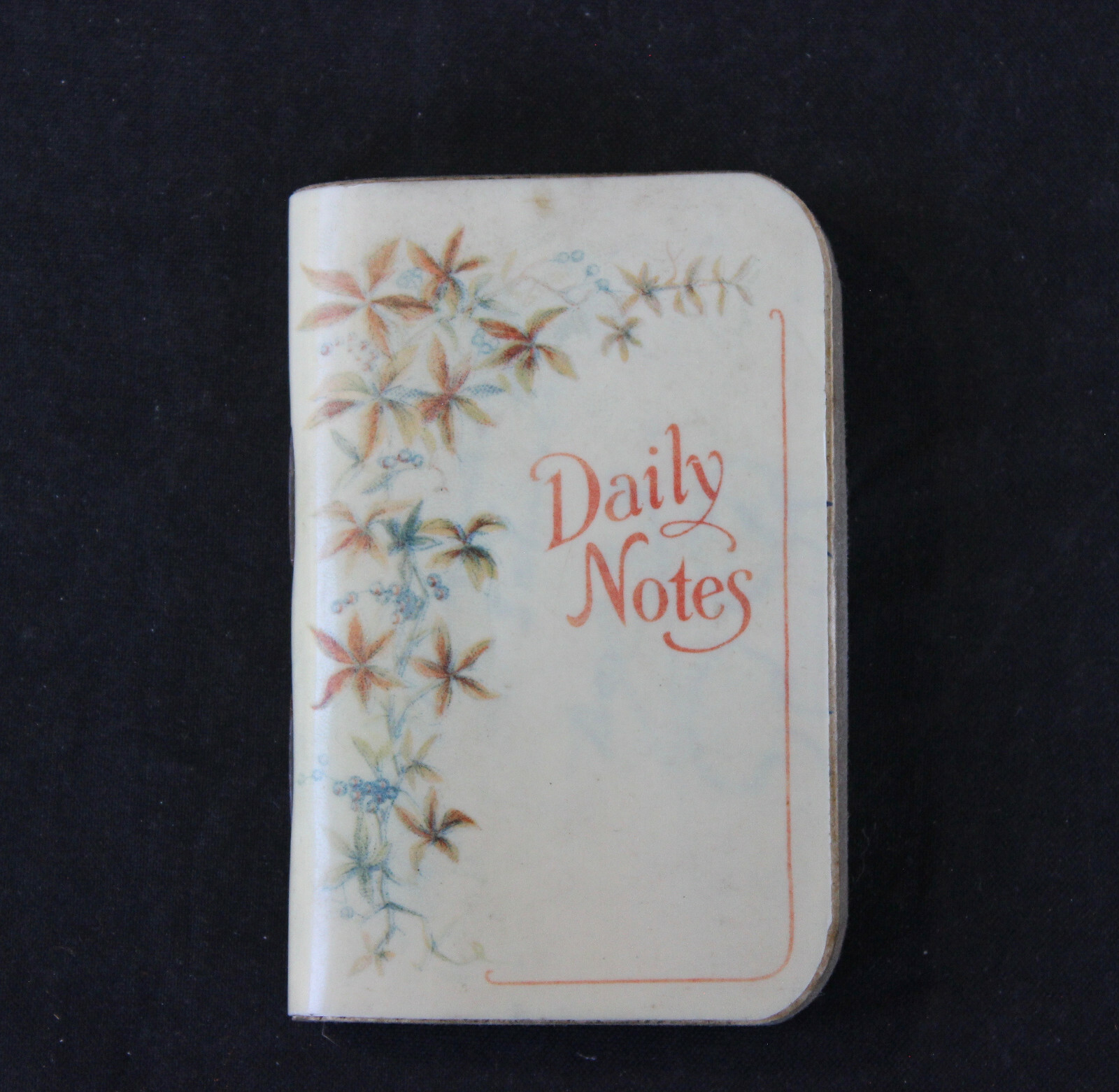 VINTAGE 1927 SMALL CELLULOID COVER "DAILY NOTES" POCKET DATE BOOK | eBay