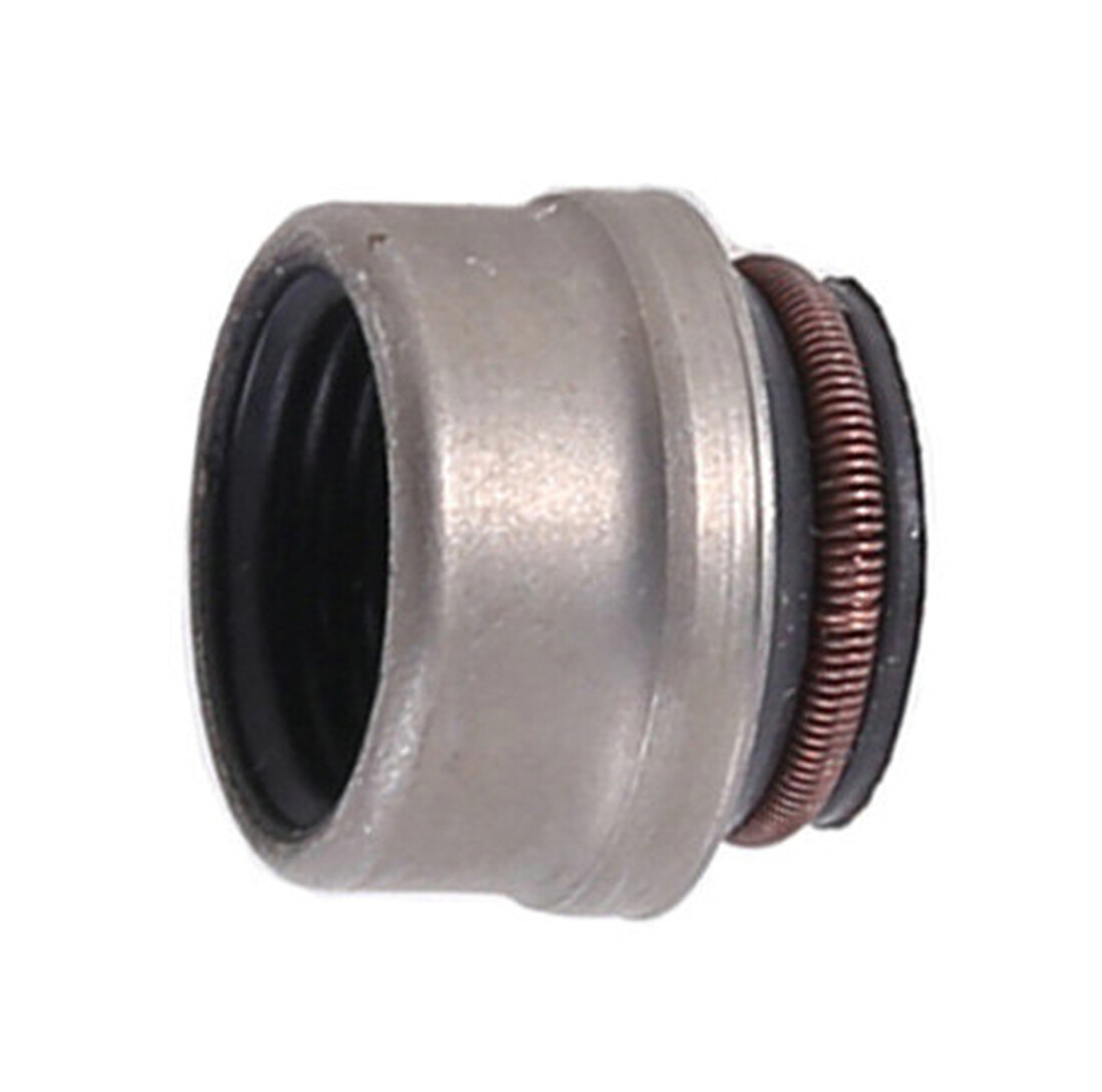 20PCS 6MM Valve Stem Oil Seals Set For VW Golf AUDI TT 036109675A | eBay