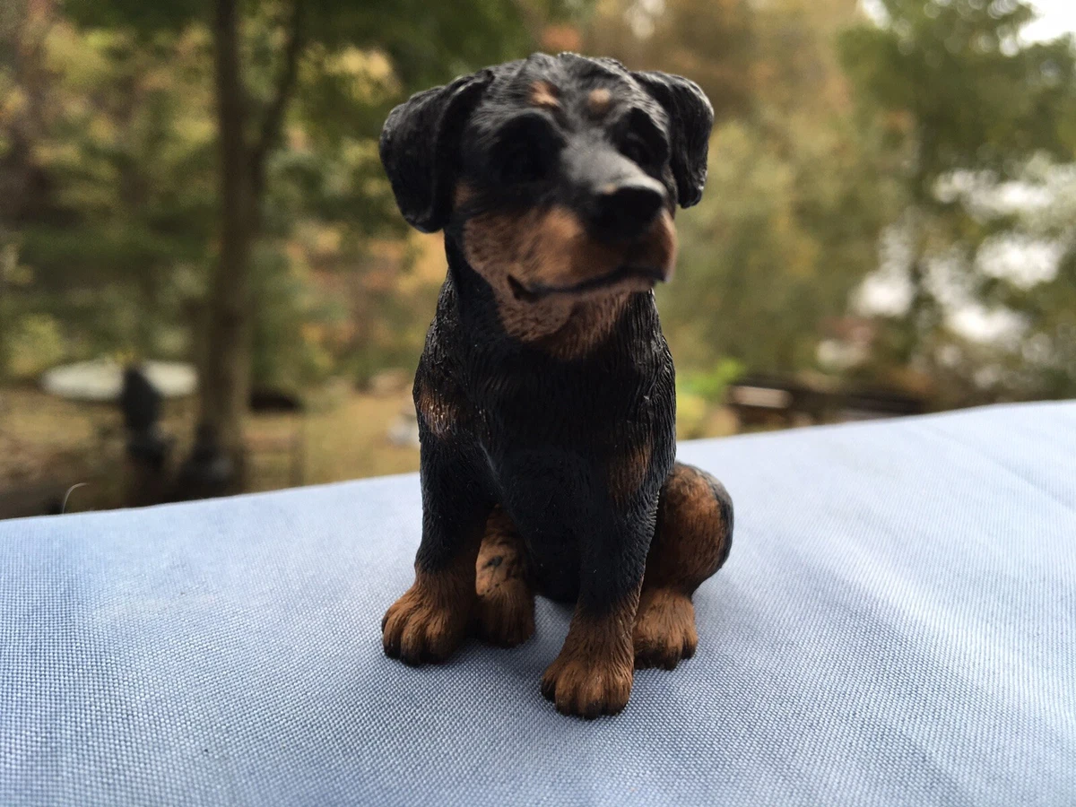 Teacup Rottweiler