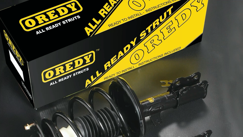 Rear Struts & Sway Bars for 2007 - 2016 2017 Ford Expedition Lincoln ...